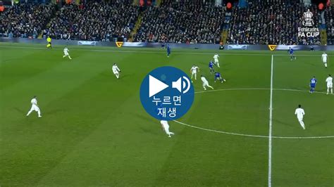 리즈 Vs 카디프 패트릭 뱀포드 멀티골 5 0 ㄷㄷㄷㄷㄷㄷㄷㄷ 유머움짤이슈 에펨코리아