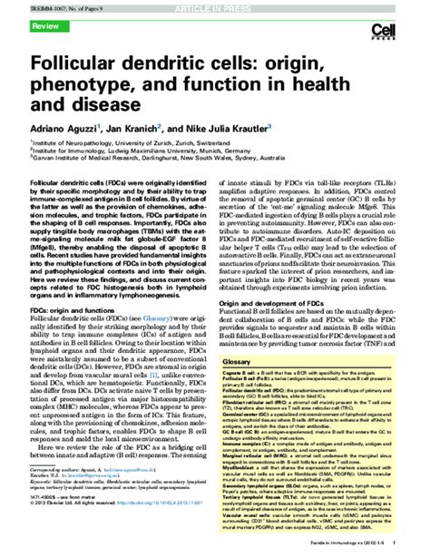 Pdf Follicular Dendritic Cells Origin Phenotype And Function In