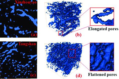 Pore Structure Morphology In Two Coal Samples A Two Dimensional Pore Download Scientific