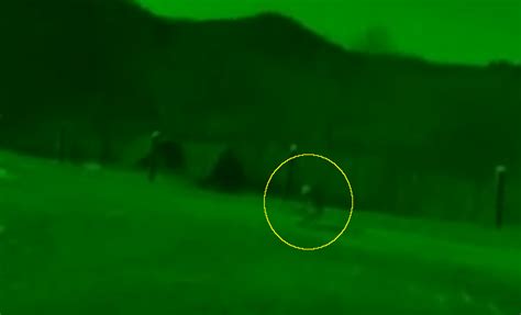 Mysterious Jumping Alien Or Hoax The Crypto Crew