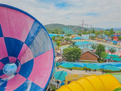 경주월드워터파크 캘리포니아비치 개장 할인 놀이기구 부산 대구 근교 물놀이 네이버 블로그