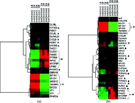 hierarchical clustering analysis of declared differentially expressed