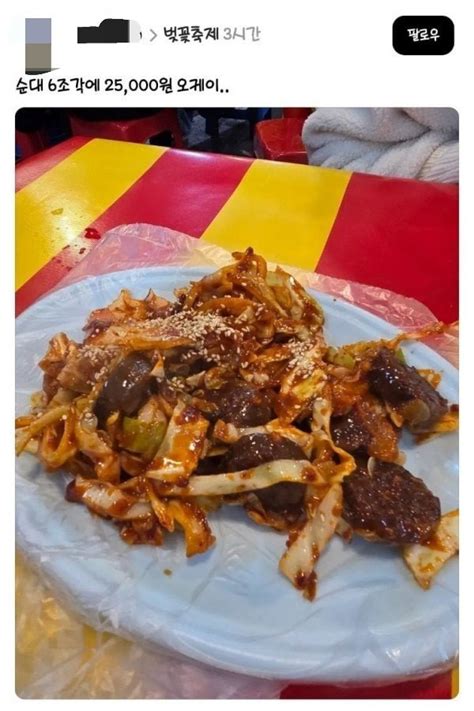 제주 벛꽃축제 음식 양 논란 포텐 터짐 최신순 에펨코리아