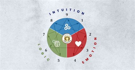 Integrating Head Heart And Gut Enneagram Asia