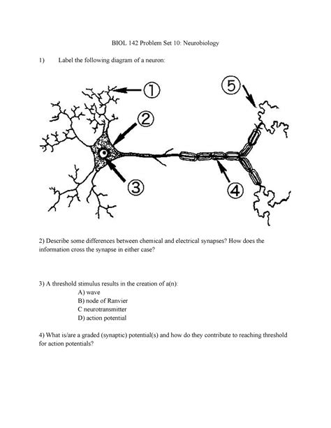 BIOL 142 Problem Set 10EB Neurobiology BIOL 142 Problem Set 10 Neurobiology Label The