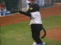Food Gratitude Fun At Fort Worth Cats Baseball Game