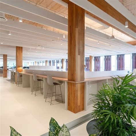 Mass Timber Archipro Au