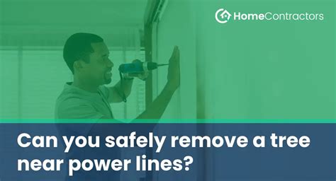 Can You Safely Remove A Tree Near Power Lines HomeContractors Com