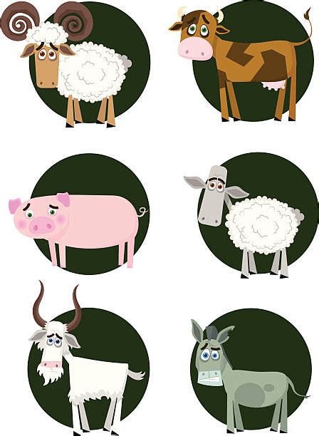 Jackass Cartoon Images Pictures Illustrations Royalty Free Vector