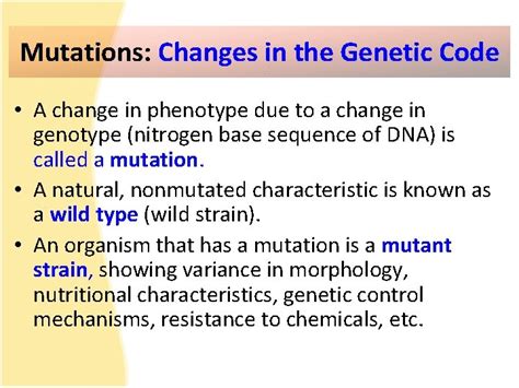 Bacterial Variation Phenotype Nonhereditary Reversible Morphology