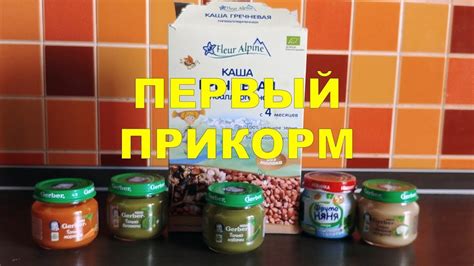 ПЕРВЫЙ ПРИКОРМ С 6 МЕСЯЦЕВ, МОЙ ОПЫТ - YouTube