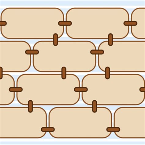 Simple Bricks And Mortar Interpretation Of The Stratum Corneum With Download Scientific