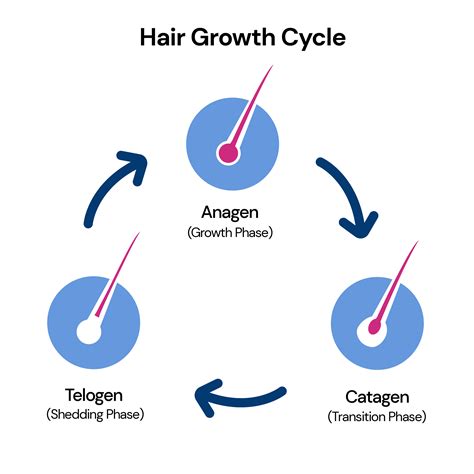 Oral Minoxidil For Hair Loss A Complete Guide Xcode Life