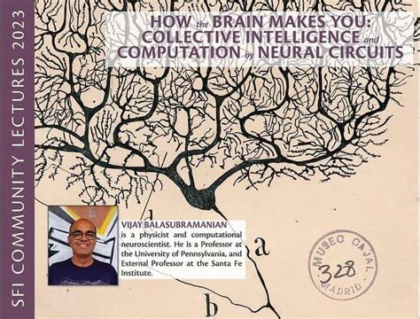 How The Brain Makes You Collective Intelligence And Computation By Neural Circuits Lifeboat