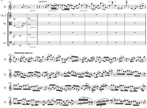 Concerto For Flute And Strings