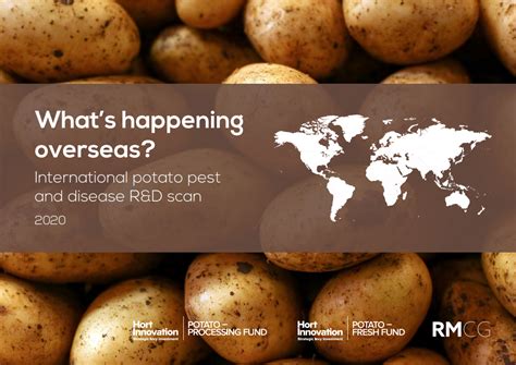 International Potato Pest And Disease R D Scan PotatoLink