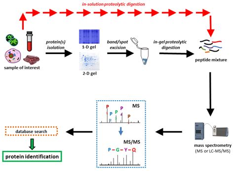 A Critical Review Of Bottom Up Proteomics The Good The Bad And The Future Of This Field