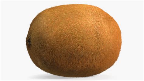 Kiwi With Fur 3d Model 19 Max Free3d