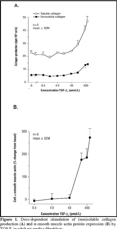 Figure 1 From Role Of Reactive Oxygen Species In The Transforming Growth Factor β1 Induced