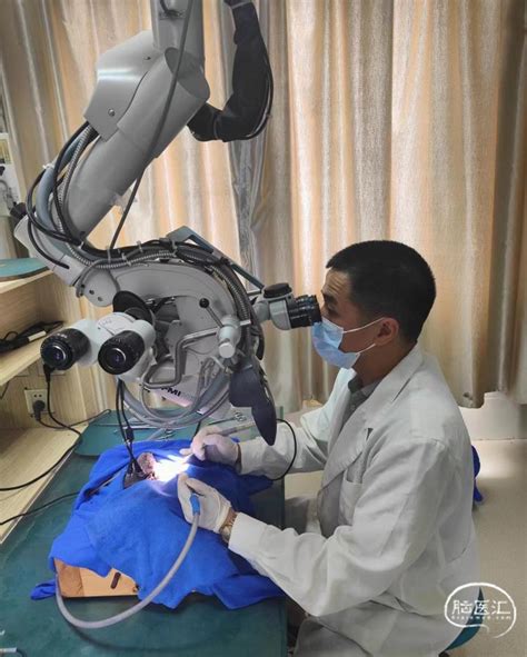 南方医科大学珠江医院第二期显微神经外科解剖及手术技术培训班顺利结业 脑医汇