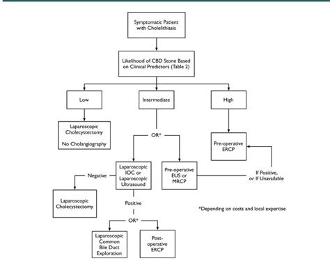 Am Report 121316 Cholangitis Scvmc Im Chief Resident Blog