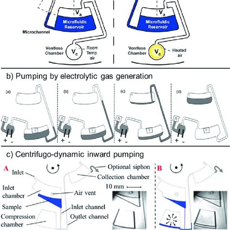 Pseudo Forces Acting In Centrifugal Microfluidics While The Download Scientific Diagram