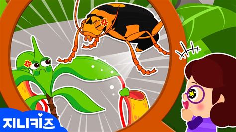 과학묶음 식물 Vs 곤충 대결 과연 승자는 L 벌레 먹는 식물들 식물 동화 곤충 벌레 동화 자연 동화 과학 동화 ★ Youtube