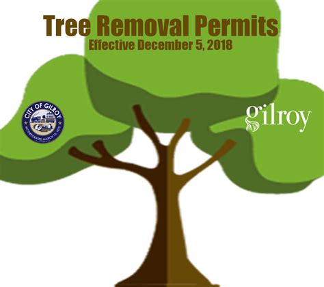 Tree Removal Permits City Of Gilroy Nextdoor Nextdoor