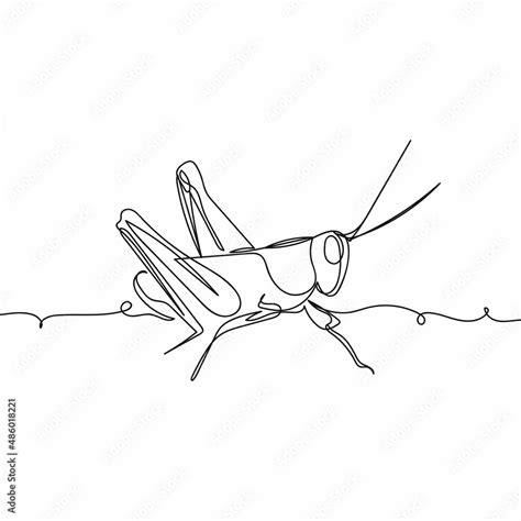 Simple Grasshopper Drawing