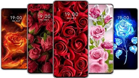 Rose Flower Wallpaper Hd For Android Download