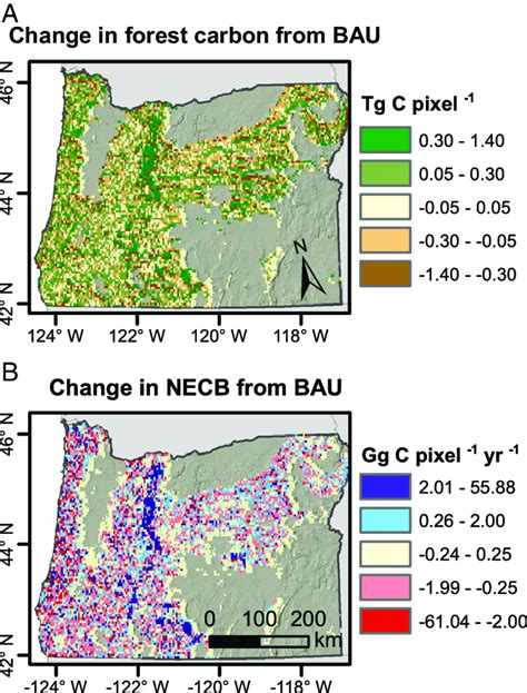 Spatial Patterns Of Forest Carbon Stocks And Necb By 2091 2100 The Download Scientific Diagram