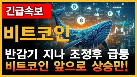 비트코인 전망 비트코인 반감기 지나 조정후 급등 다시 1억으로 100 상승 패턴 이번에도 계속 이코인 난리납니다
