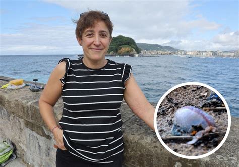 Me picó una carabela portuguesa y he estado más de una semana de baja El Diario Vasco