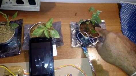 Automatic Irrigation System Using Dual Sensors With Microcontroller