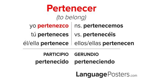Preferir Conjugation Yo