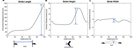 Schematic Of The Spatial Parameter Stride Length A Height B And