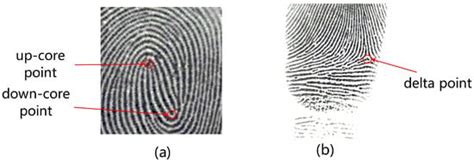 A Method For Singular Points Detection Based On Faster Rcnn