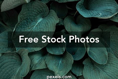 Margin Background Photos Download The Best Free Margin Background