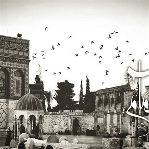 Stream Ziyad Hafiz Listen To احنا زحف الكتائب Playlist Online For Free On Soundcloud