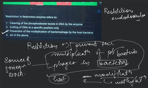 Restriction Enzyme Breaks Filo
