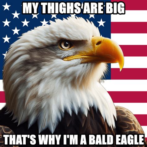 Patriotic Eagle Meme Pin By Melissa Davis On Quick Saves Patriotic