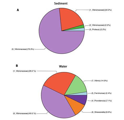 Pie Charts Depicting The Sample Composition Among Sediment And Water Download Scientific