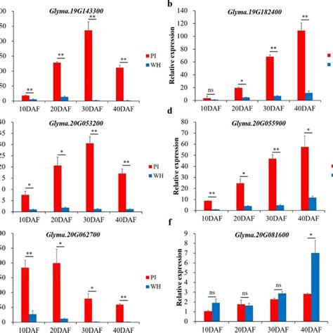 Relative Expression Levels Of Six Candidate Genes In The Seeds Of Two