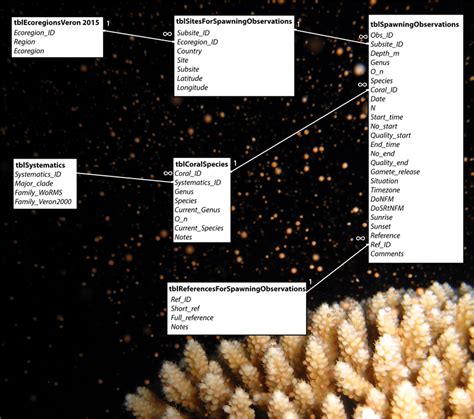 Arrangement Of Data Tables In The Access Relational Database Download Scientific Diagram