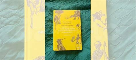 Как выжить женщине в средневековье книга купить в Москве по низкой цене с доставкой Хобби и