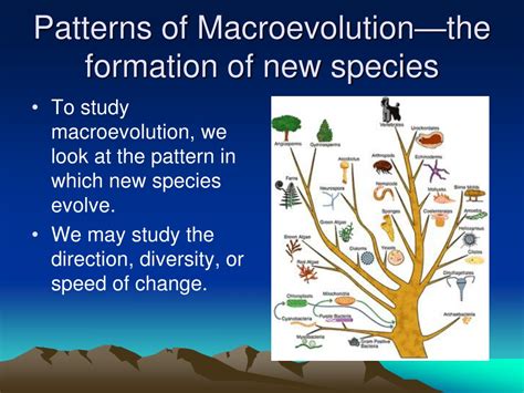 Ppt Exploring Evolution Darwins Theory Unveiled Powerpoint