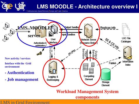 Lms Moodle