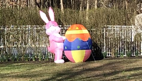 My Neighbors Just Dropped This X Rated Easter Bunny Right In My Face The Wooder Cooler