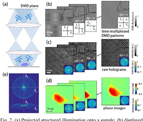 Figure 2 From Multimodal Approach Combining Optical Diffraction Tomography And Three Dimensional